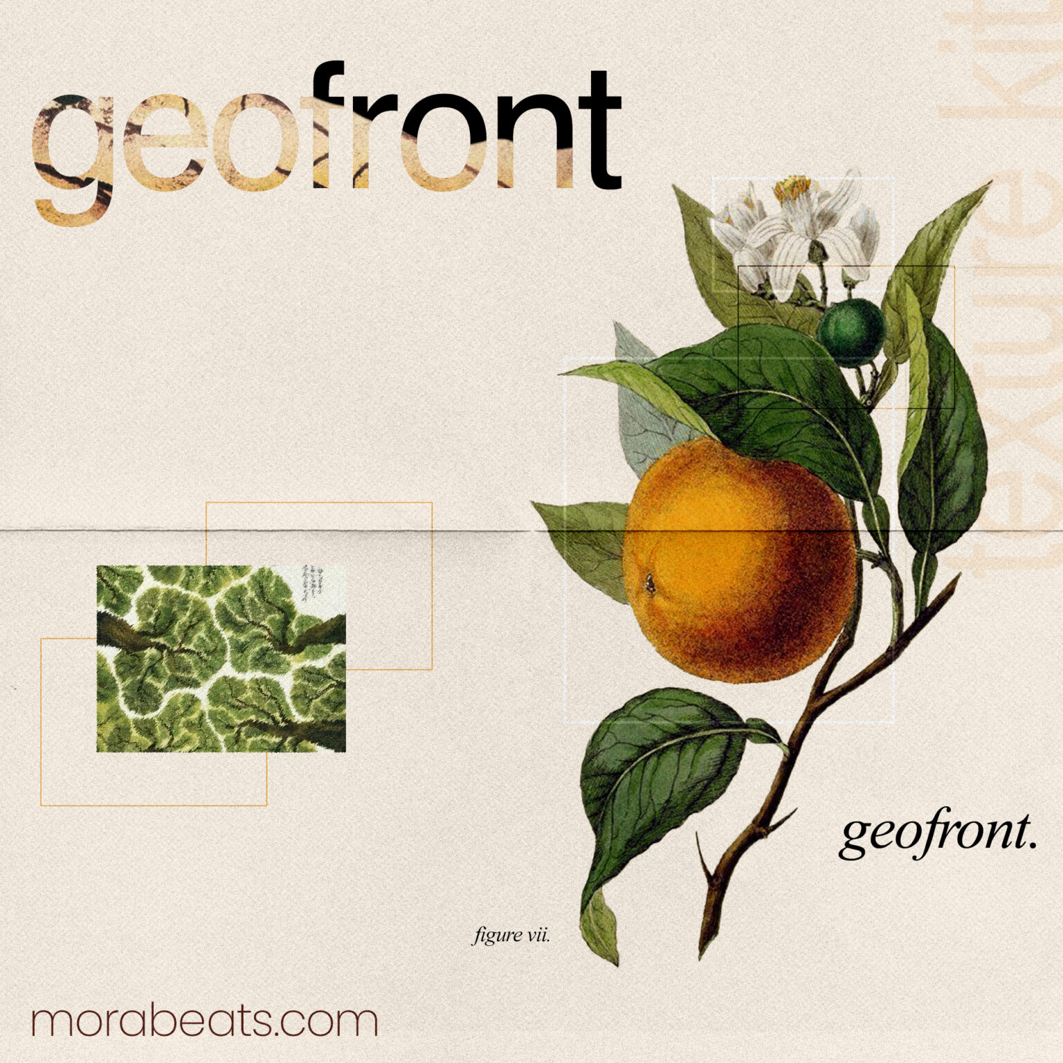 GEOFRONT texture kit - Morabeats | Producción musical
